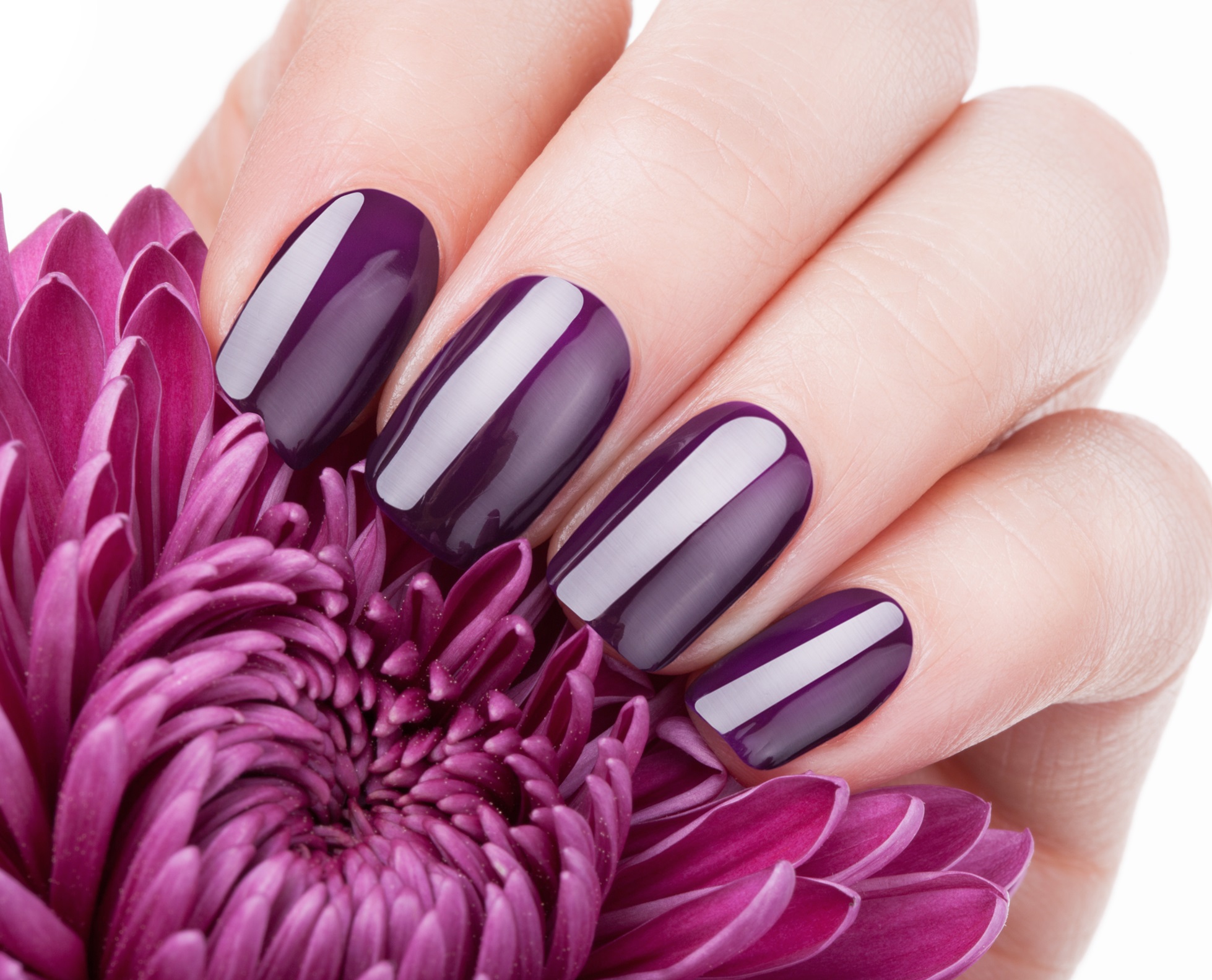 COLOR COSMETIC - International Laboratories Corp., Ltd.