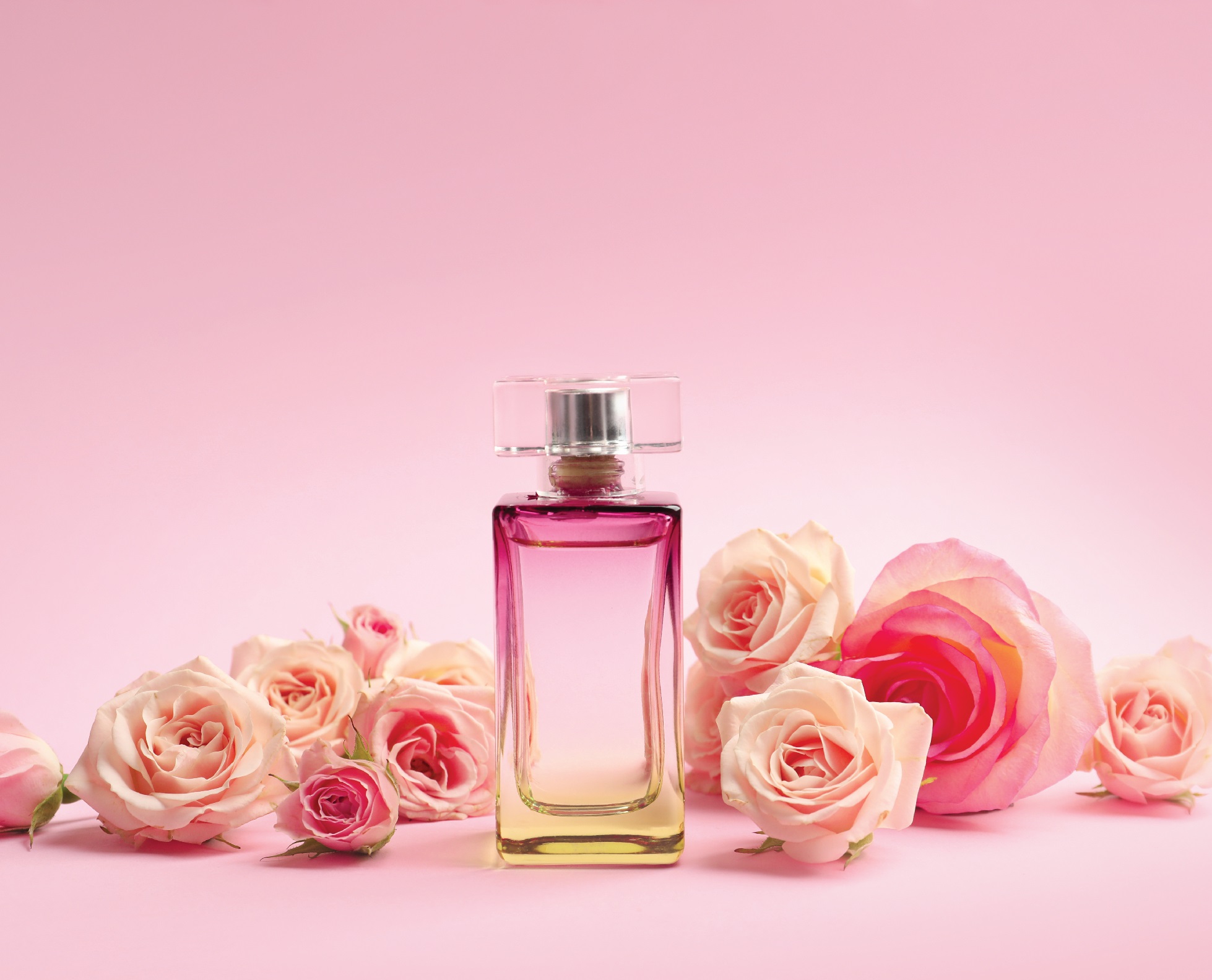 TOILETRIES & FRAGRANCES - International Laboratories Corp., Ltd.